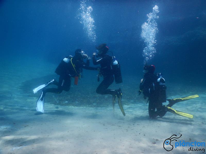 Curso de buceo Open Water Diver SSI/ACUC – Plàncton DIving - Municipal ...