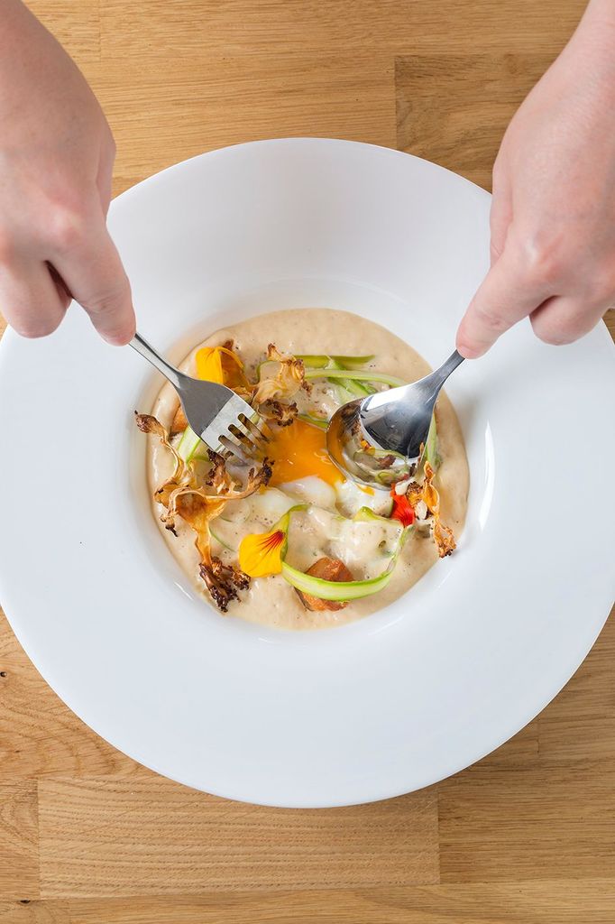 Cocina del terreno para disfrutar, Meleta de Romer - Patronato ...